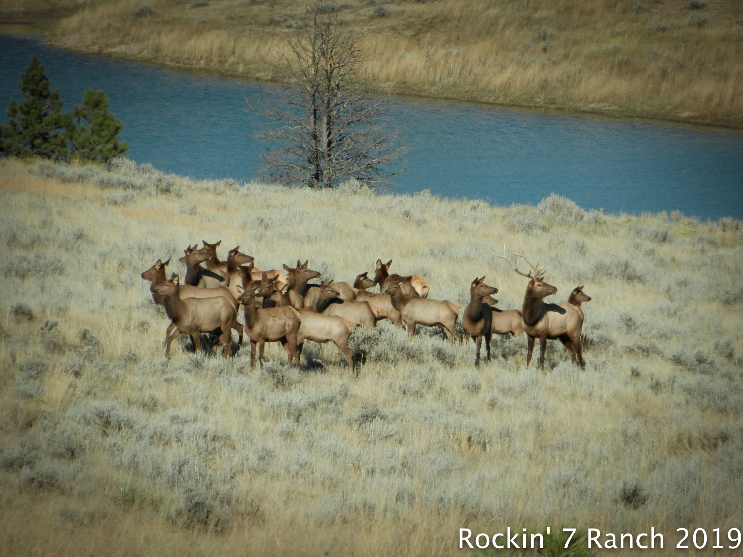 Rockin’ 7 Ranch 2019- Round 4-2 – Rockin’ 7 Ranch
